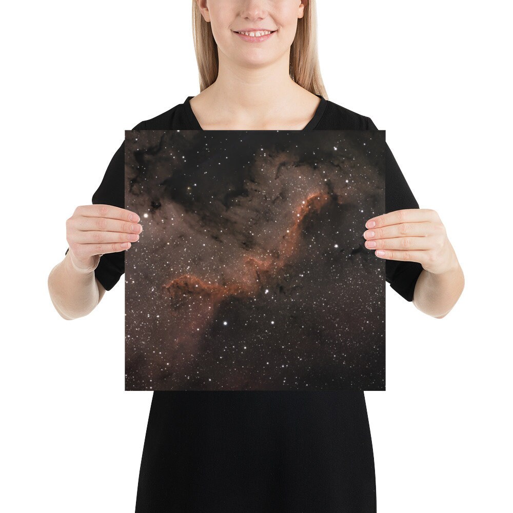 Cygnus Wall Poster - Etsy