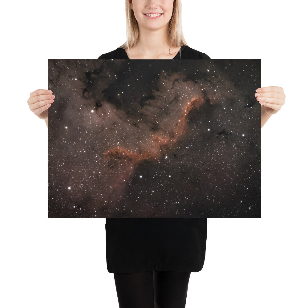Cygnus Wall Poster - Etsy