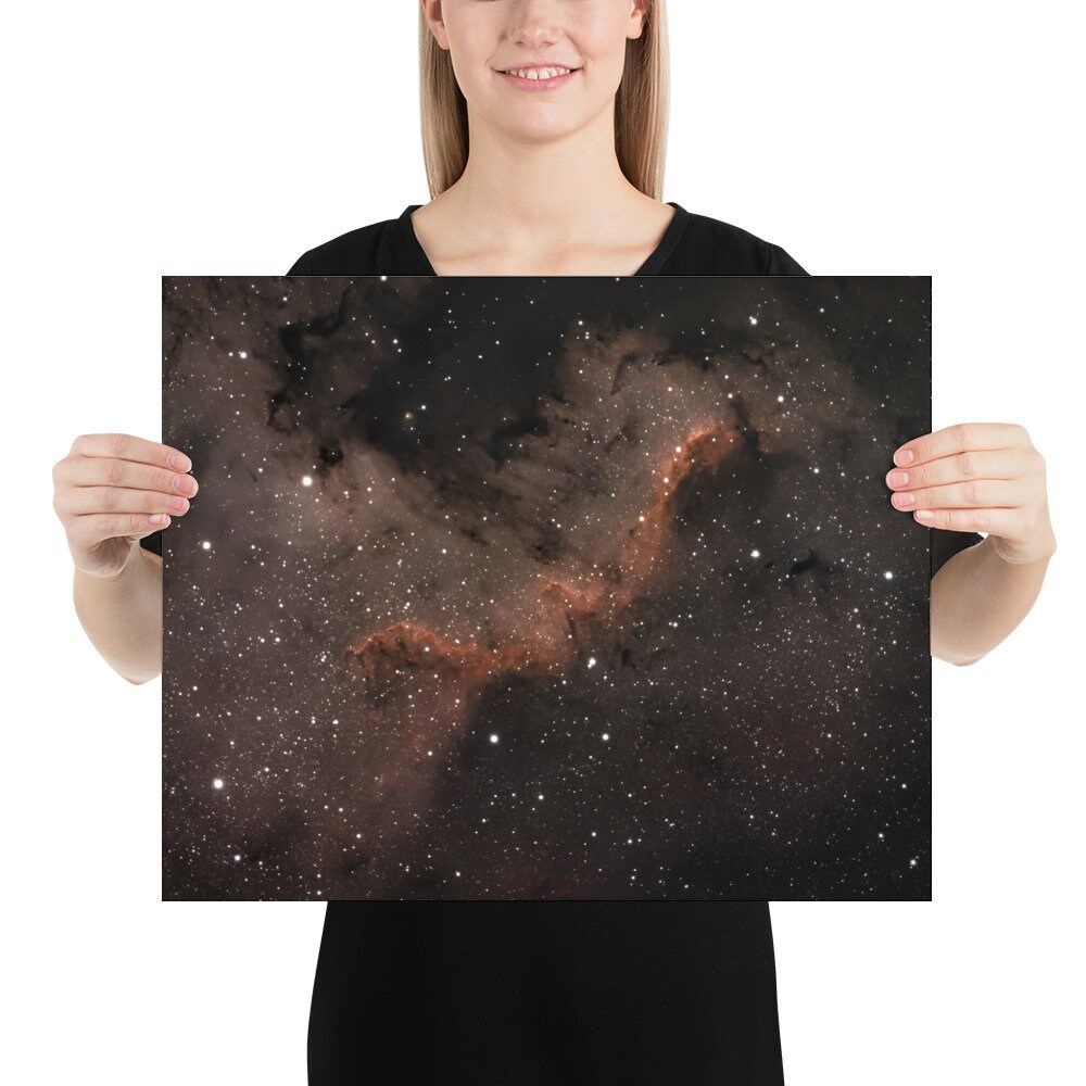 Cygnus Wall Poster - Etsy
