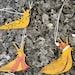Banana Slug Christmas Ornaments - Etsy