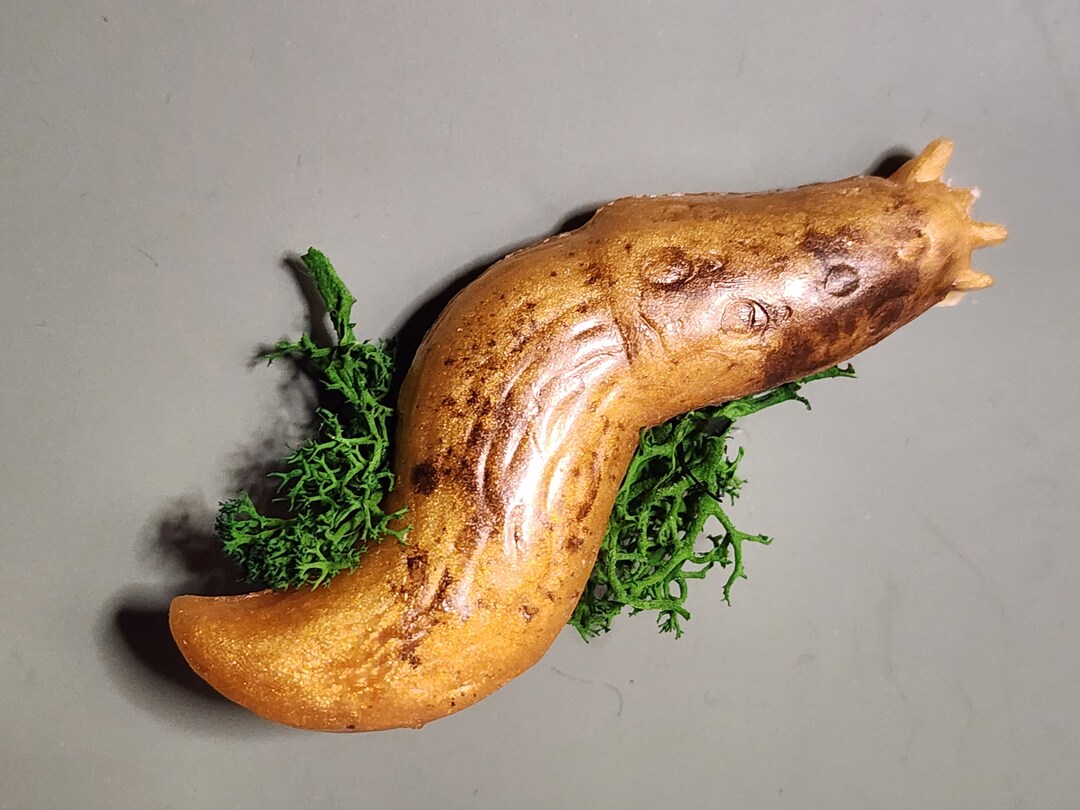 Banana Slug Resin and Faux Moss Hair Clip - Etsy