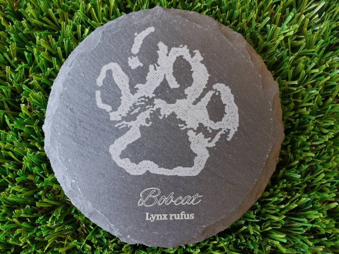 Bobcat Paw Print on a Slate Coaster or Decorative Circle - Etsy