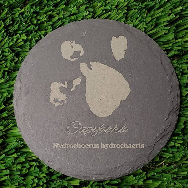 Capybara Paw Print - Etsy