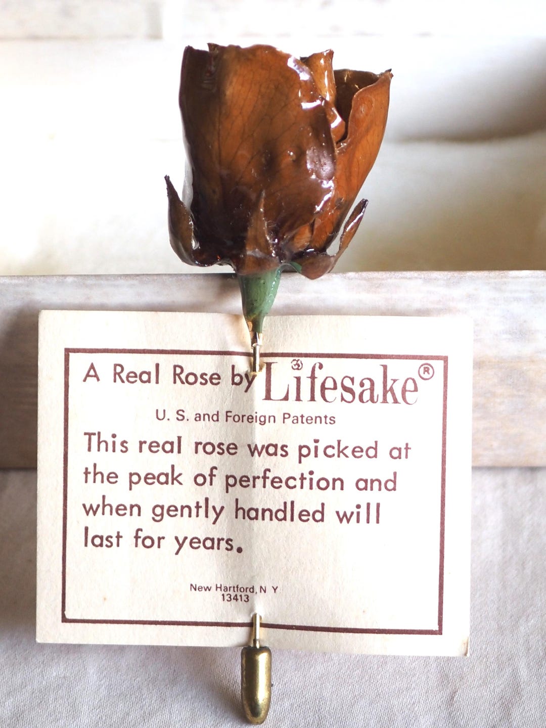 Vintage Life-sake Flowers. Beautiful Real Rose. Brooch or Pin. - Etsy