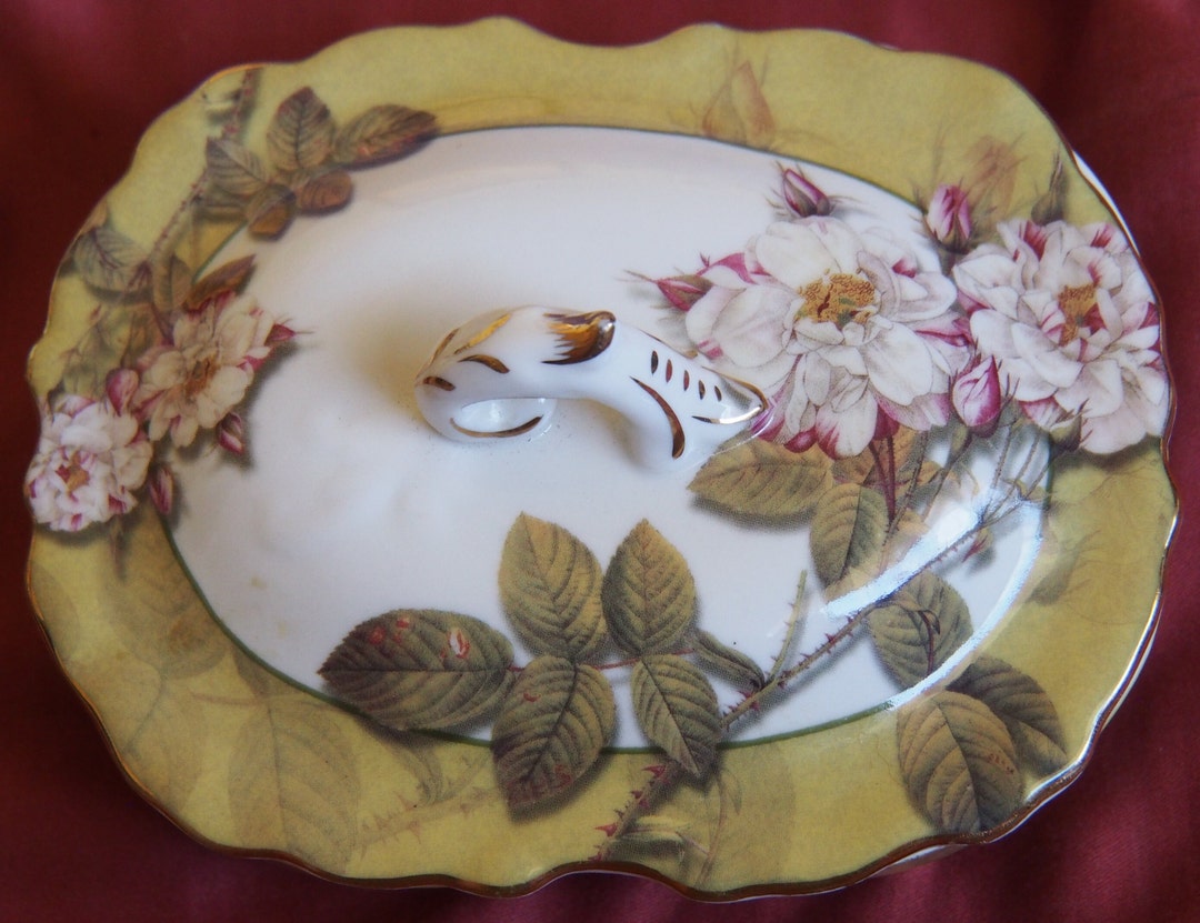 A Beautiful Bowl With Lid by Dan Samuels Microwave and - Etsy