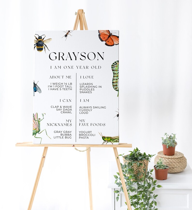 Bug Birthday Banner - Insect Birthday, Bug Birthday Party, Bug Insects ...