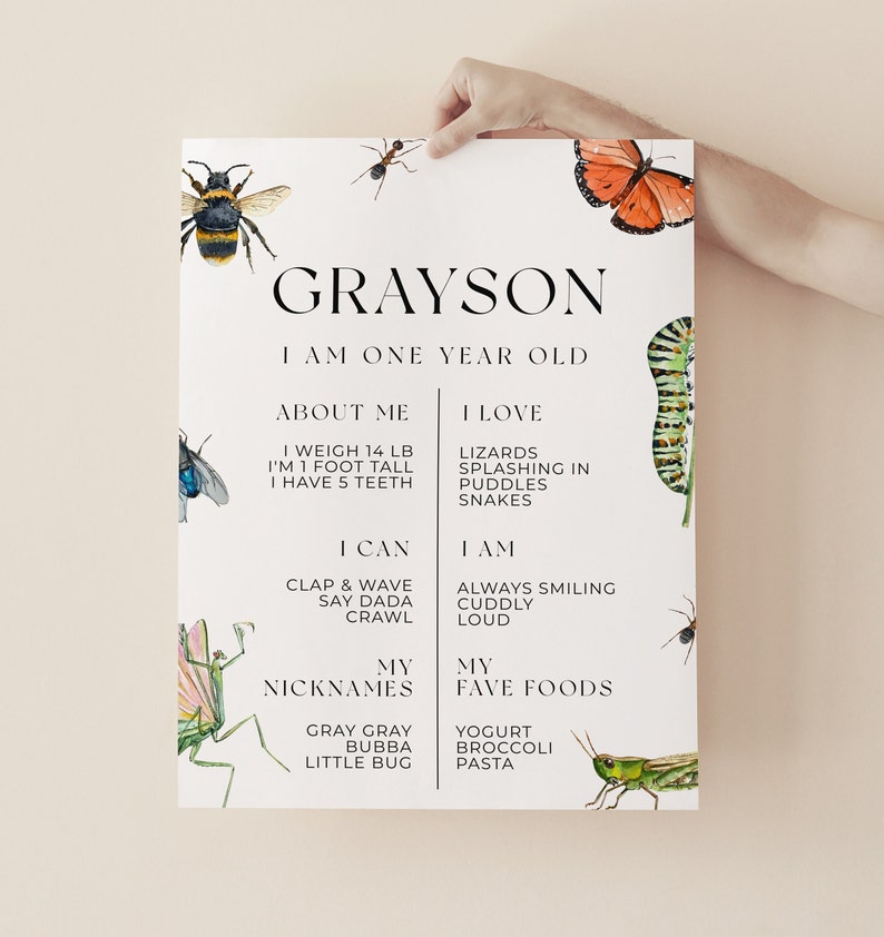 Bug Birthday Banner - Insect Birthday, Bug Birthday Party, Bug Insects ...