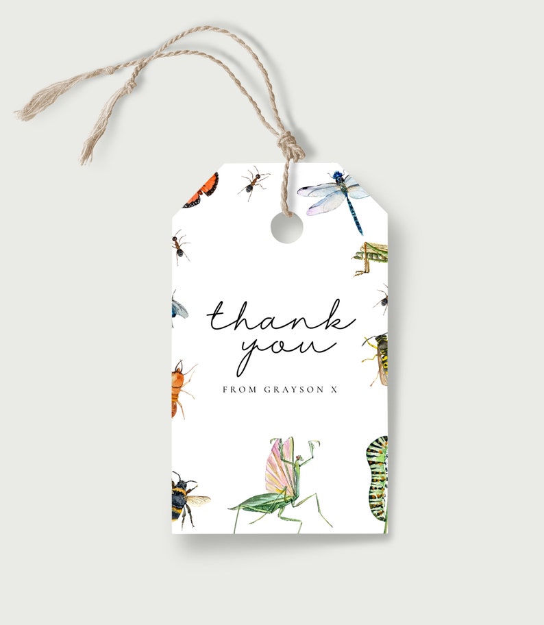 Editable Bug Birthday Favor Tags -bug Birthday Party, Bug Thank You ...