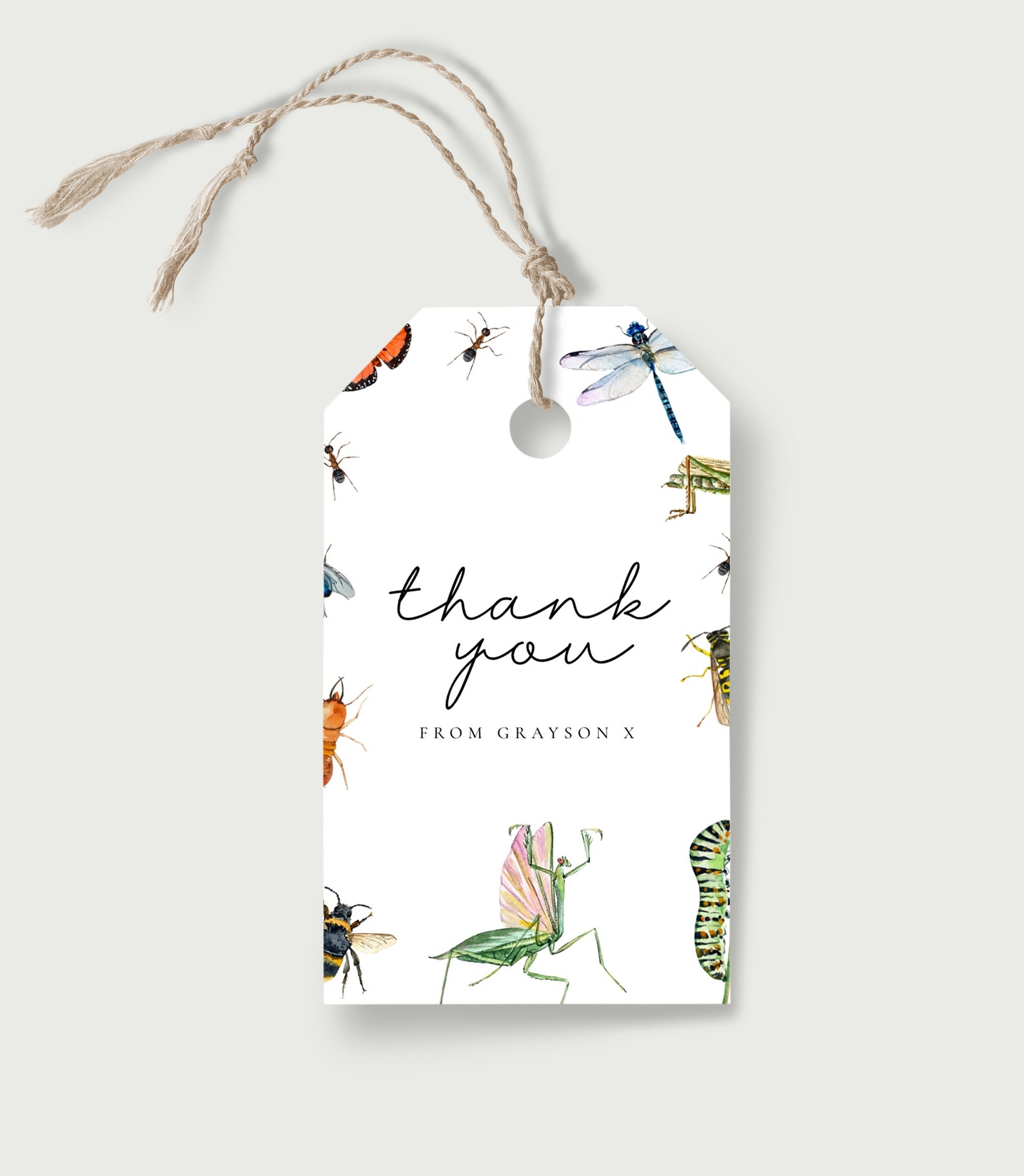 Editable Bug Birthday Welcome Sign - Insect Welcome Sign, Bug Birthday ...