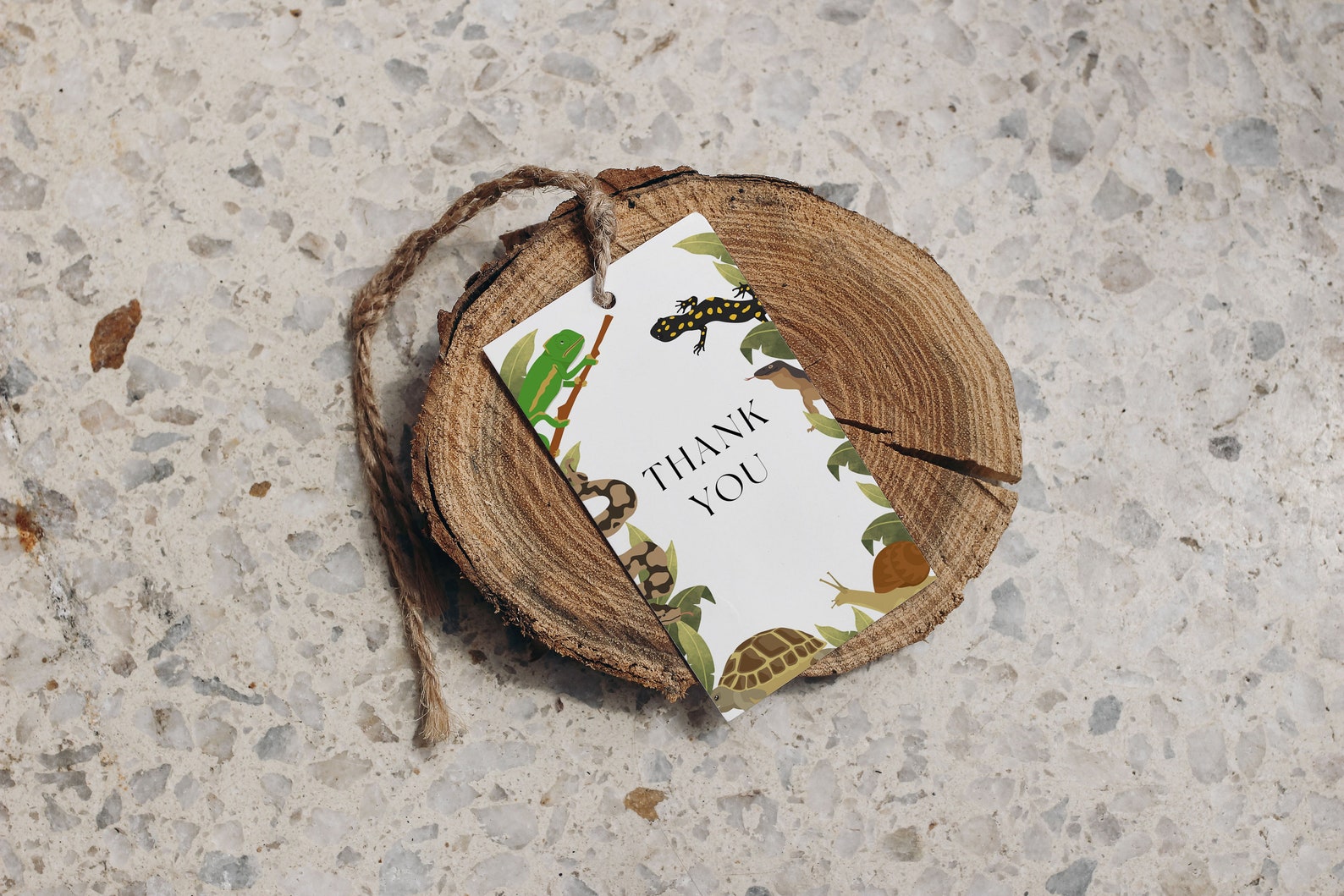 Reptile Favor Tag Editable Reptile Party Favor Tags Lizard - Etsy