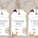 Pirate Favor Tags Editable Pirate Gift Tag,pirate Birthday, Map, Boys ...