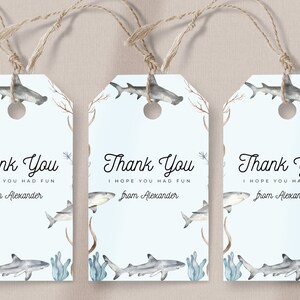 Shark Birthday Party Decor Bundle -shark Birthday Decor, Shark ...
