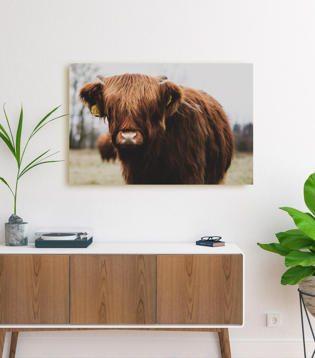 Highland Cow Wall Art Canvas - Highland Cow Art, Highland Cow Print ...