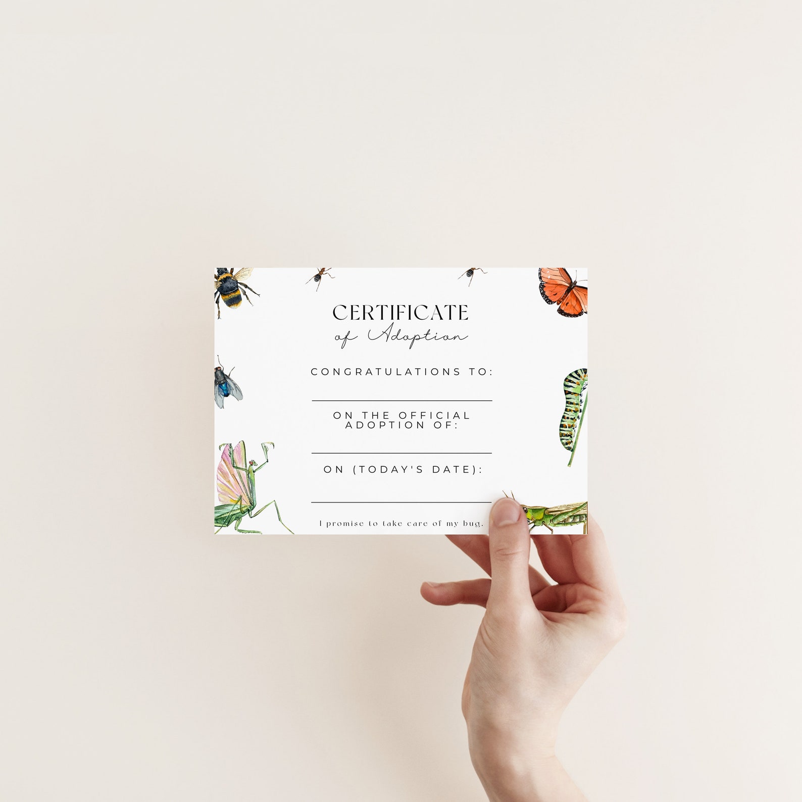 Printable Bug Birthday Sign Adoption Sign & Certificate - Etsy