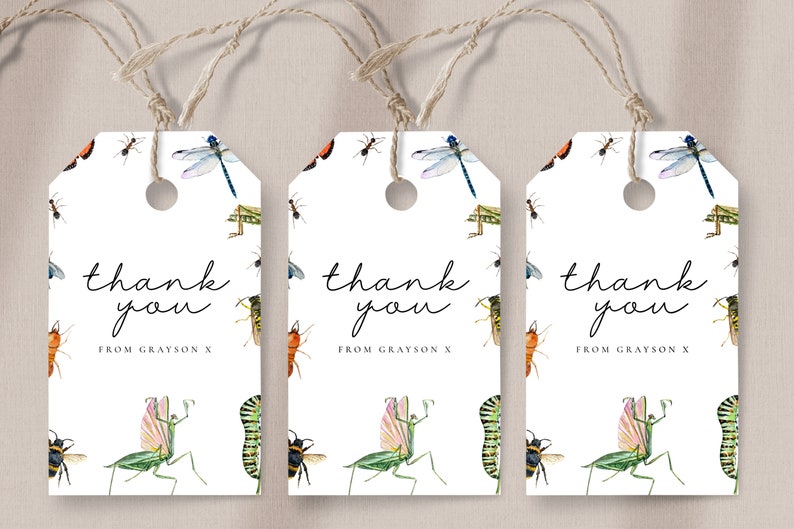Bug Birthday Thank You Card-bug Birthday Party Bug Insects - Etsy