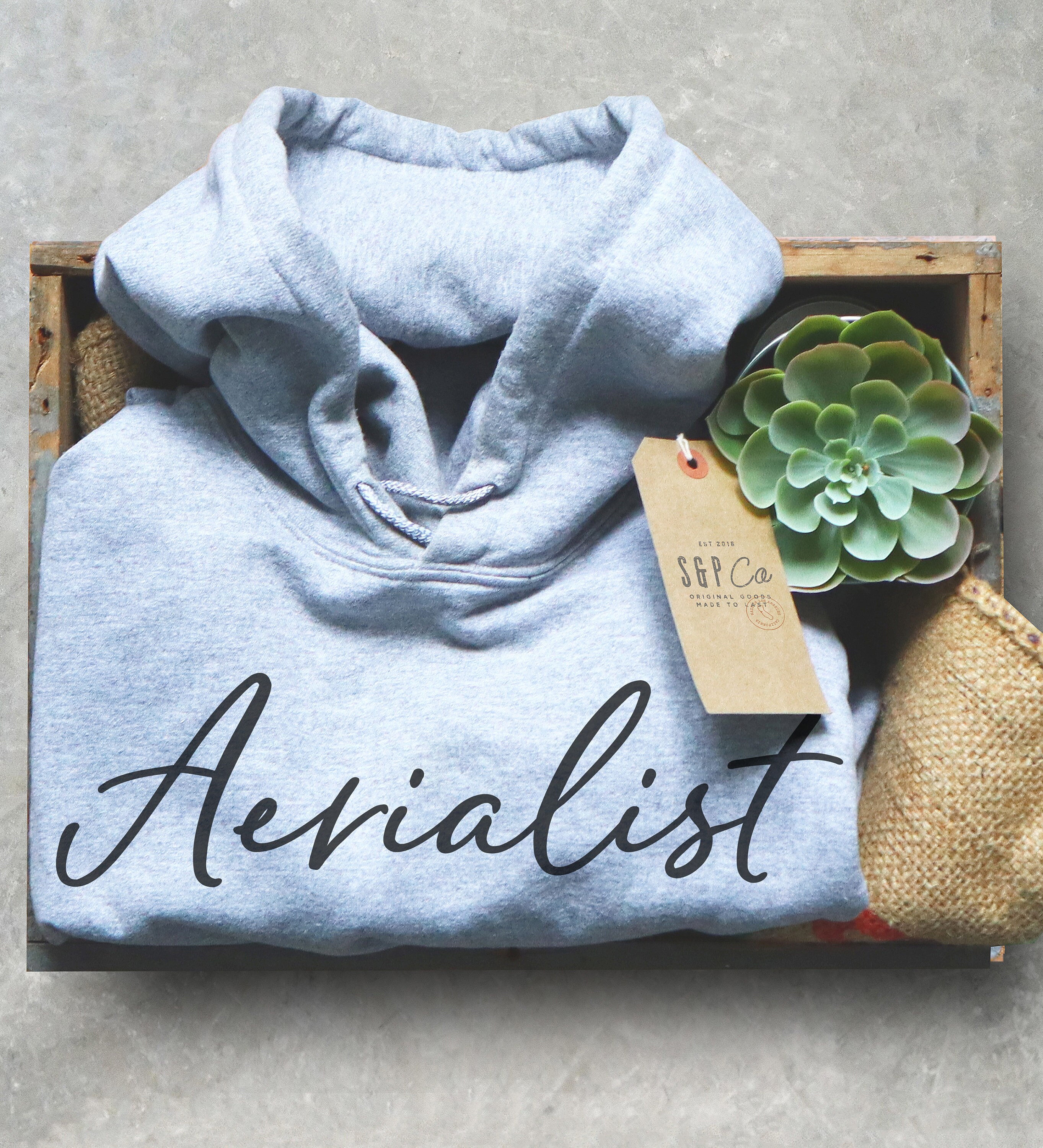 Aerialist Hoodie - Aerialist Shirt, Aerialist Gift, Circus Shirt ...