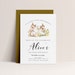 Hamster Birthday Invitation -cute Hamster Invitation, Pet Theme Party ...