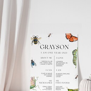 Bug Birthday Banner - Insect Birthday, Bug Birthday Party, Bug Insects ...