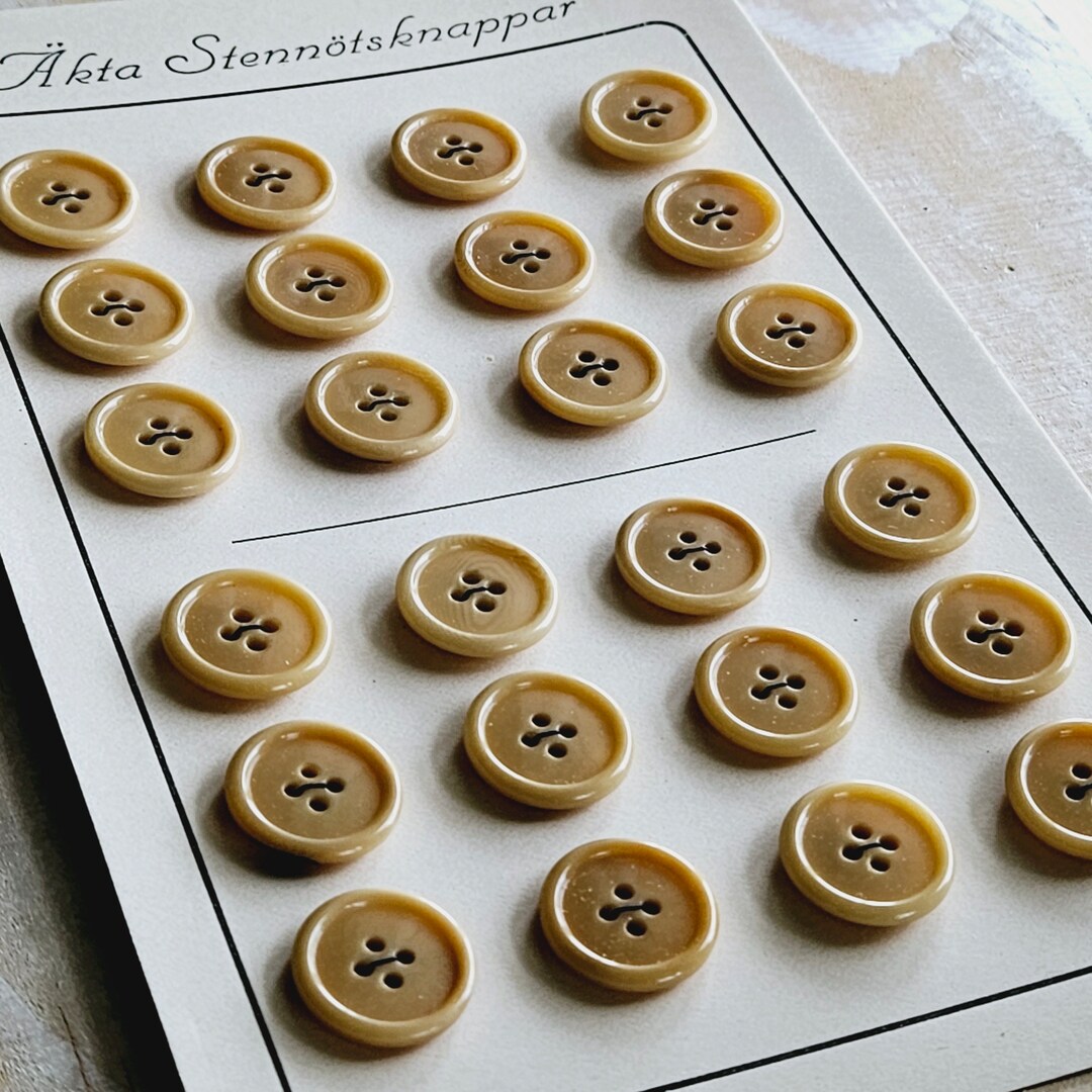 Retro / Vintage Stone Nut / Vegitable Ivory /coroszo Tagna Nut / 24 ...