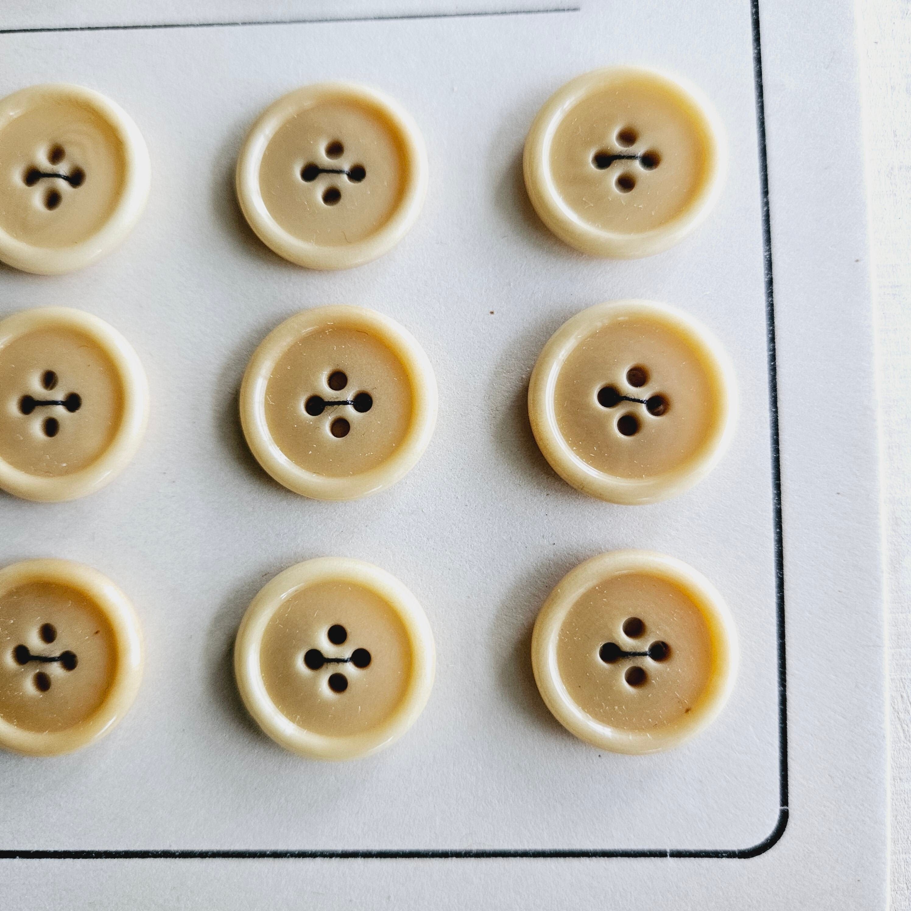 Retro / Vintage Stone Nut / Vegitable Ivory /coroszo Tagna Nut / 24 ...