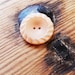 Retro / Vintage Peach Color 8 Hard Plastic Buttons, Mint Condition - Etsy