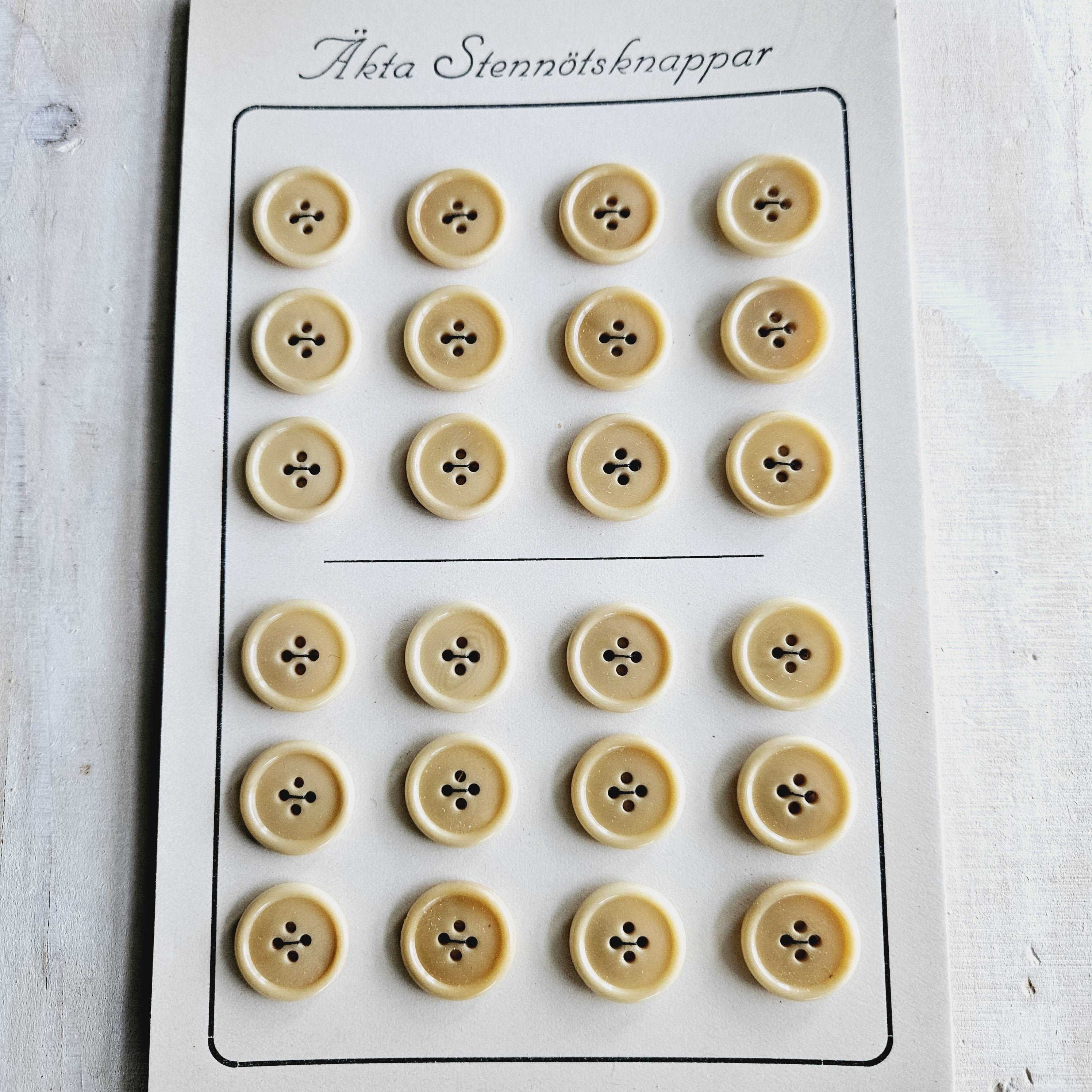 Retro / Vintage Stone Nut / Vegitable Ivory /coroszo Tagna Nut / 24 ...