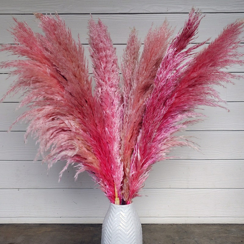 Pink Pampas Grass - Etsy