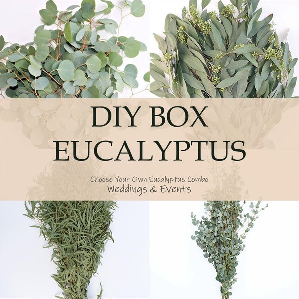 Seeded Eucalyptus - Etsy