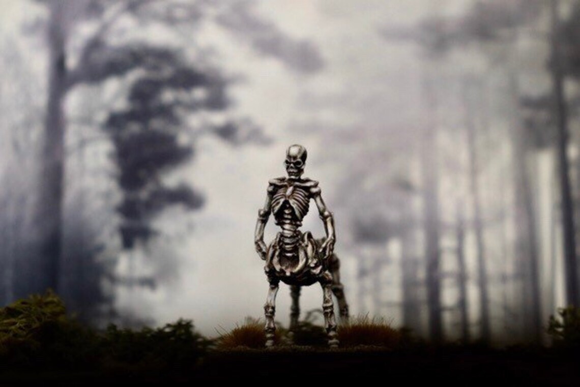 Undead Skeleton Centaur multi-part FANTASY RACES - Etsy