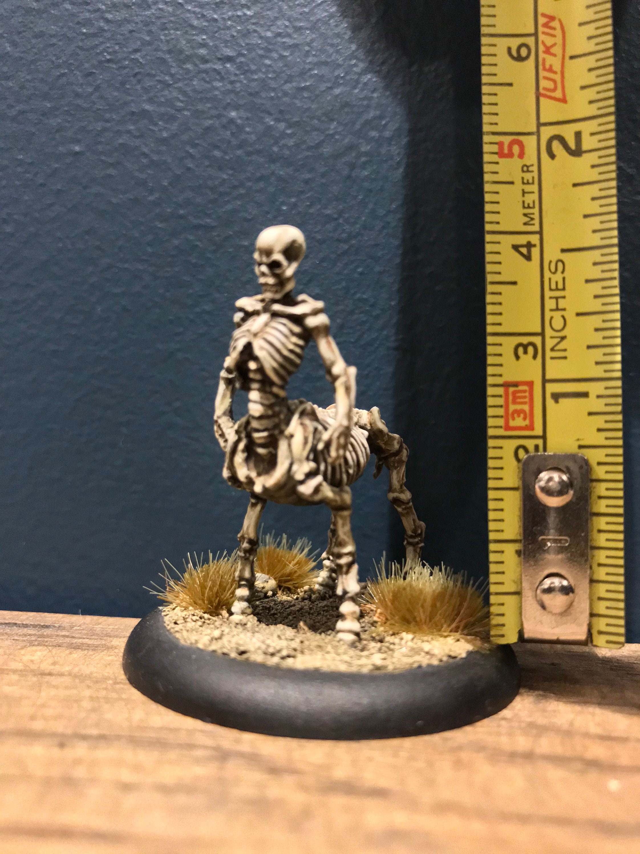 Undead Skeleton Centaur multi-part FANTASY RACES - Etsy