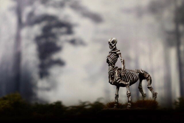 Undead Skeleton Centaur multi-part FANTASY RACES - Etsy