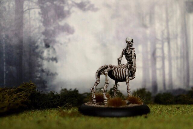 Undead Skeleton Centaur multi-part FANTASY RACES - Etsy