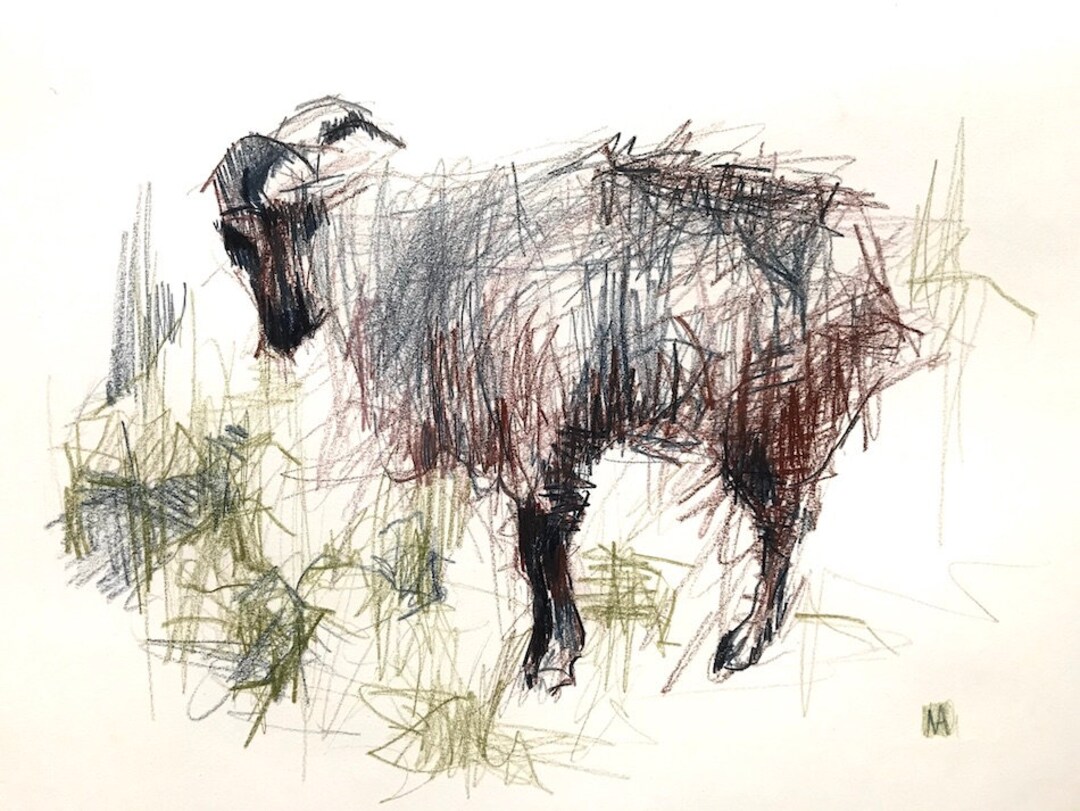 Himalayan Tahr - Etsy