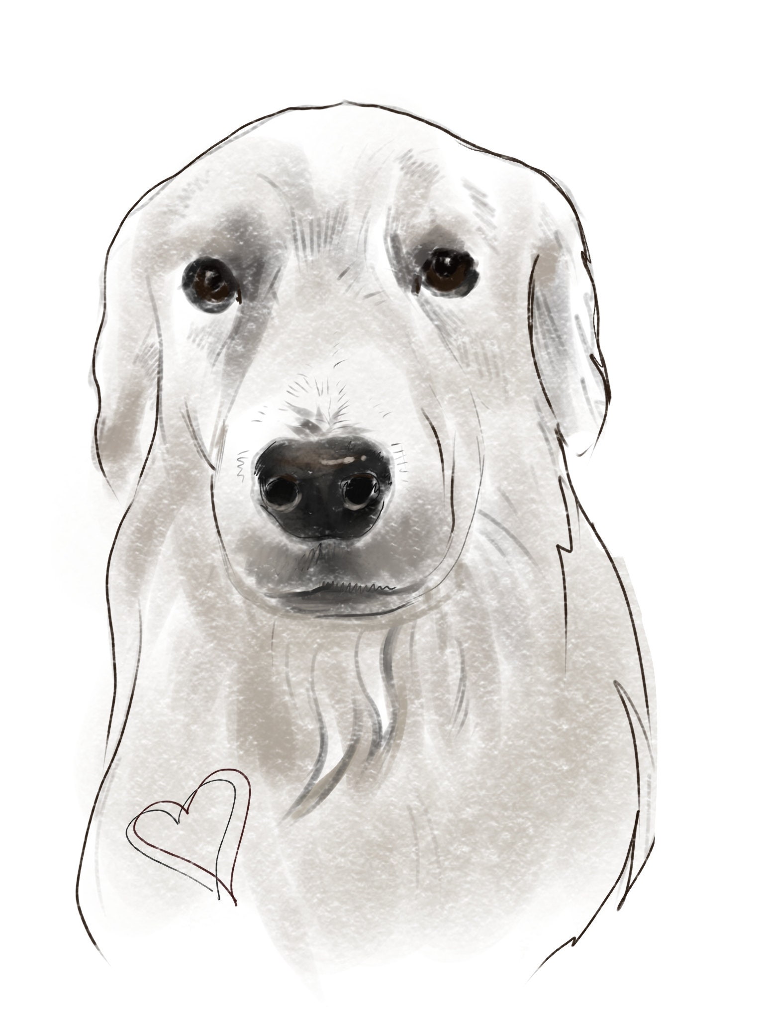 Custom Pet Line Drawing From Photo Dog Cat Original Digital - Etsy