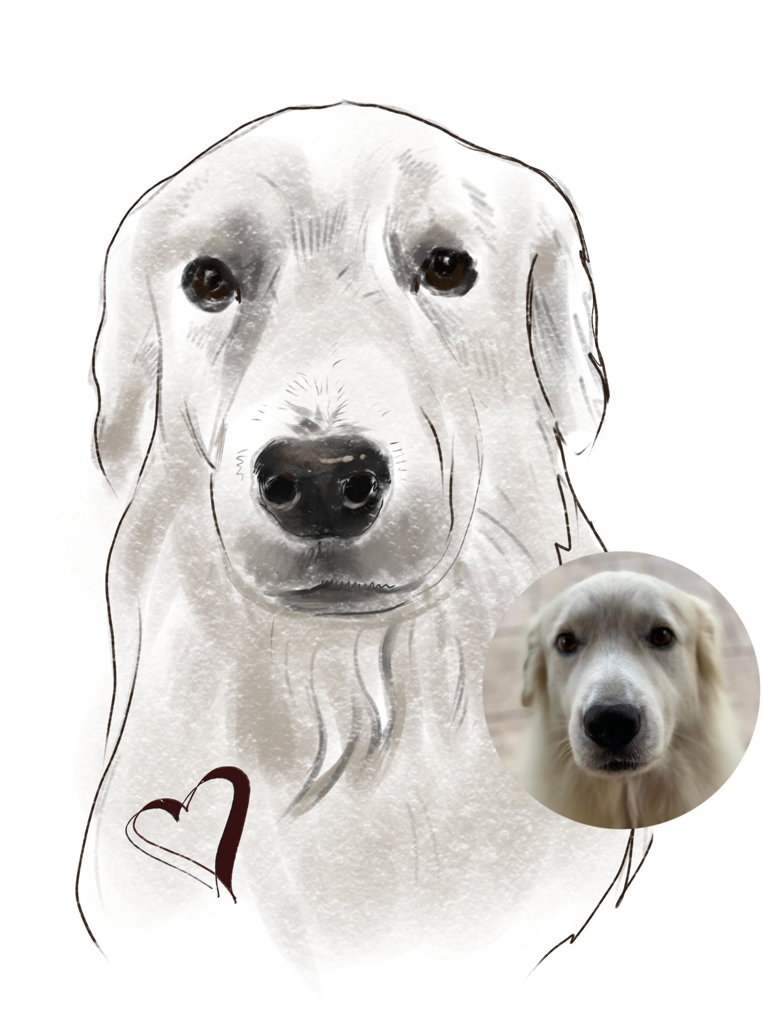 Custom Pet Line Drawing From Photo Dog Cat Original Digital - Etsy