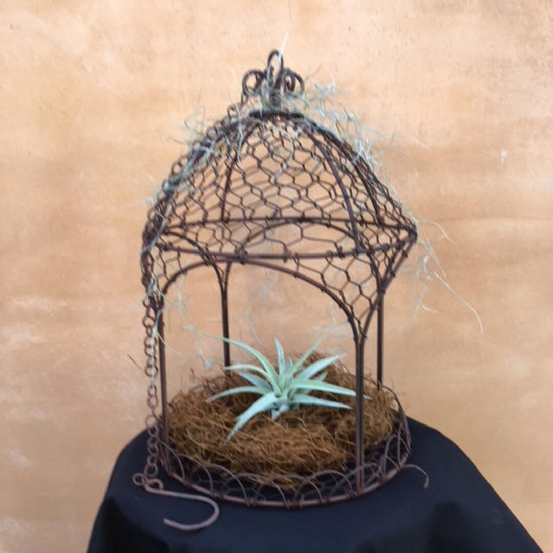 Hanging Wire Pavilion, Victorian Decor, Rustic Style, Old World ...