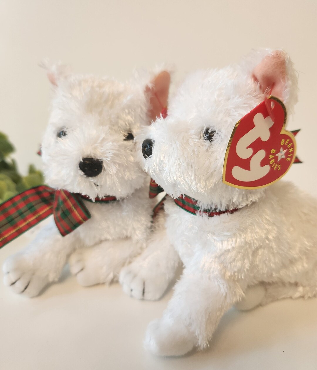 TY Beanie Baby - West Highland White Terrier, a Small Dog Breed Known ...