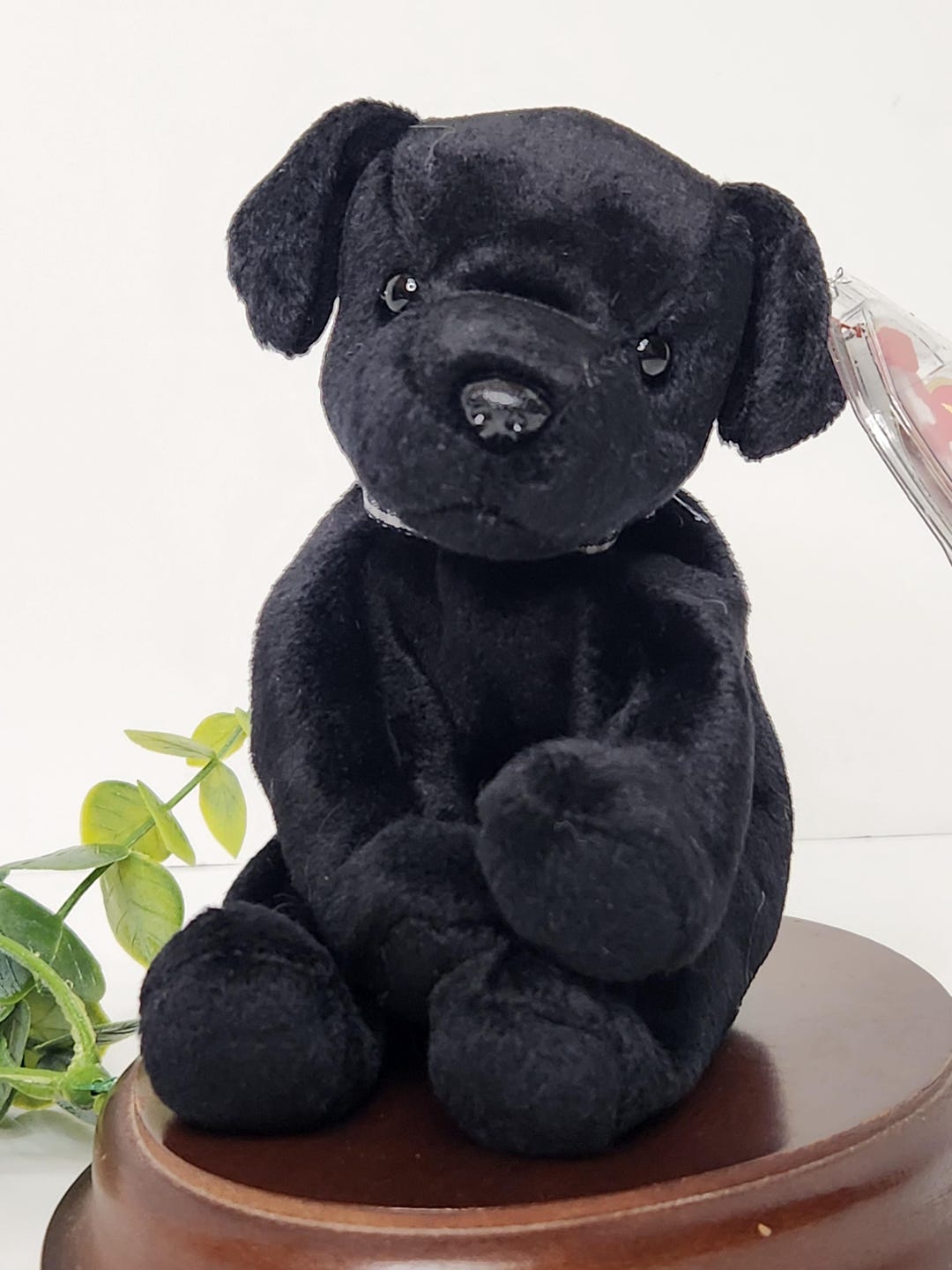 1998 TY Beanie Baby LUKE the Dog, Retired, Blue Ribbon, Limited Edition ...