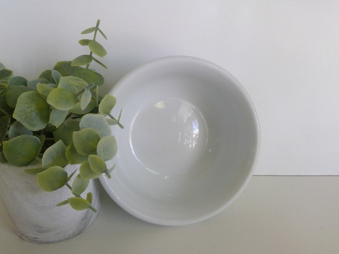 Vintage Inter-american Pure Porcelain Bowl / Made in Brazil - Etsy