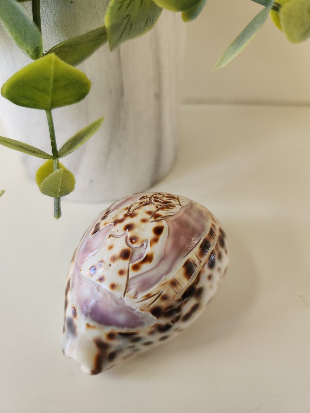 Vintage Carved Cowrie Shell - Women - Etsy