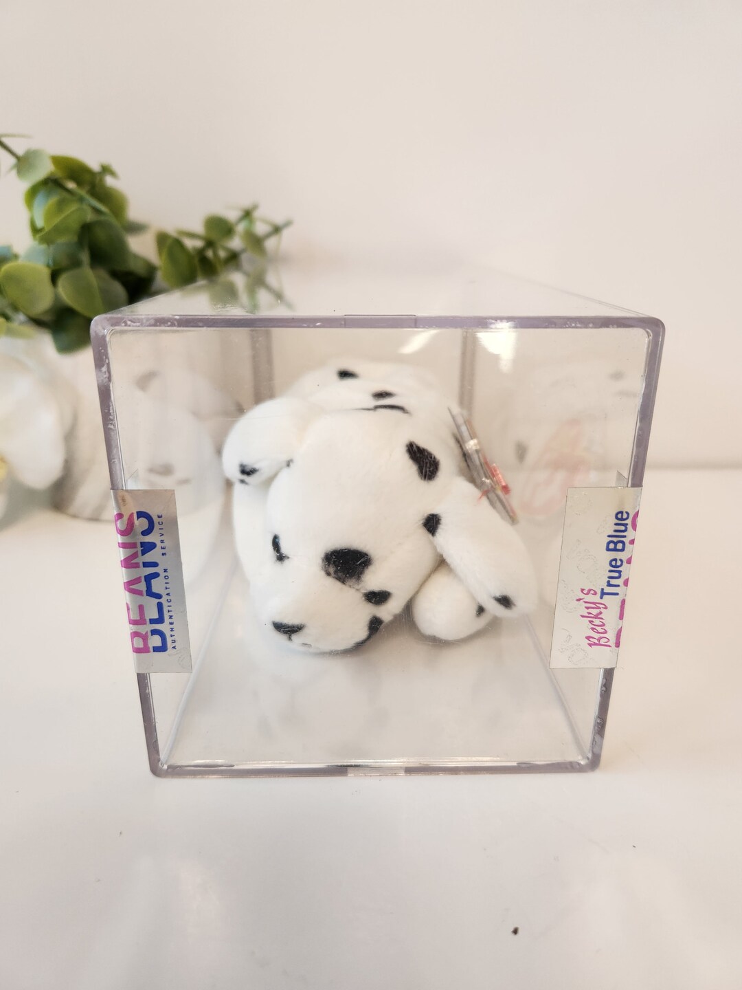 Becky's Authenticated SPARKY the DOG TY Beanie Baby 4th Gen Museum ...