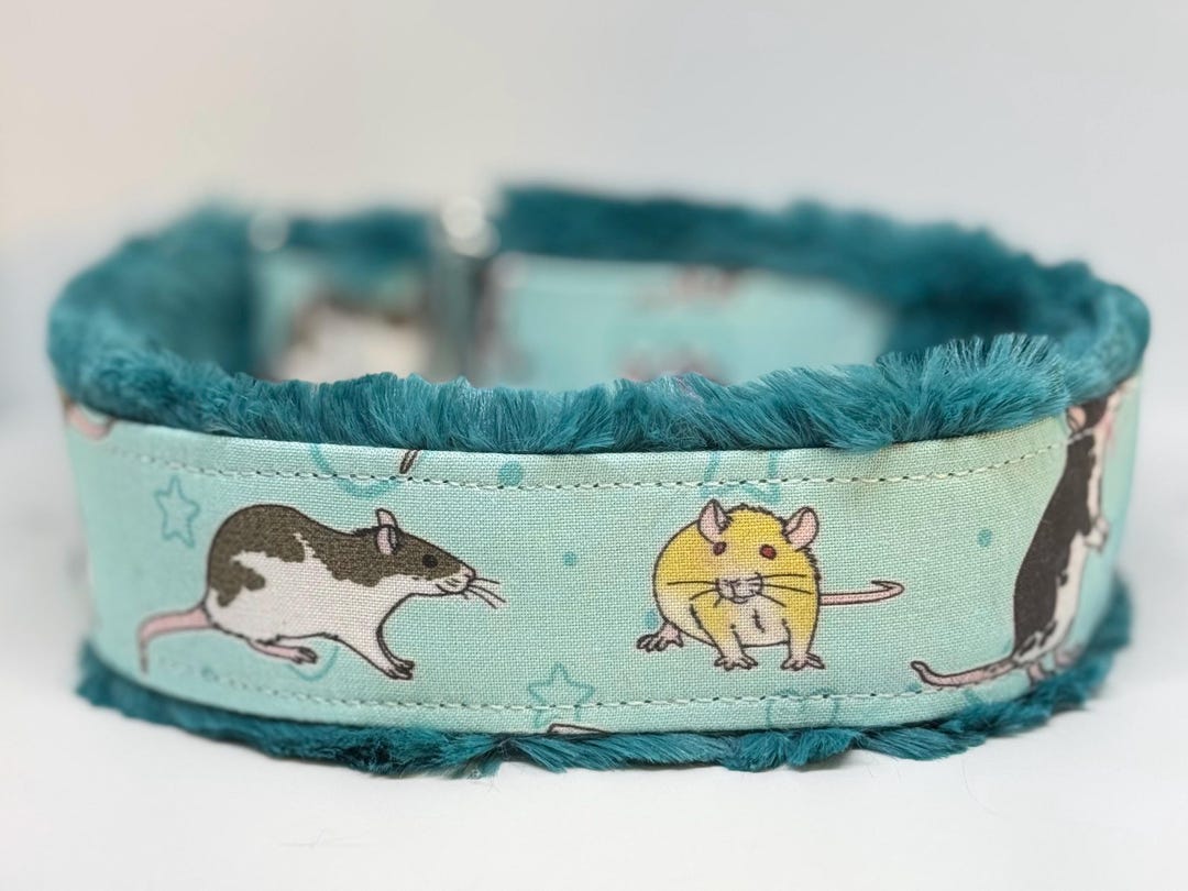 Rat Dog Collar (read Item Description and View Photos for Collar ...