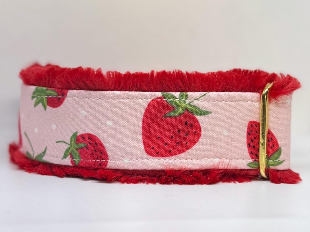 Strawberries on Pink Dog Collar (read Item Description and View Photos ...