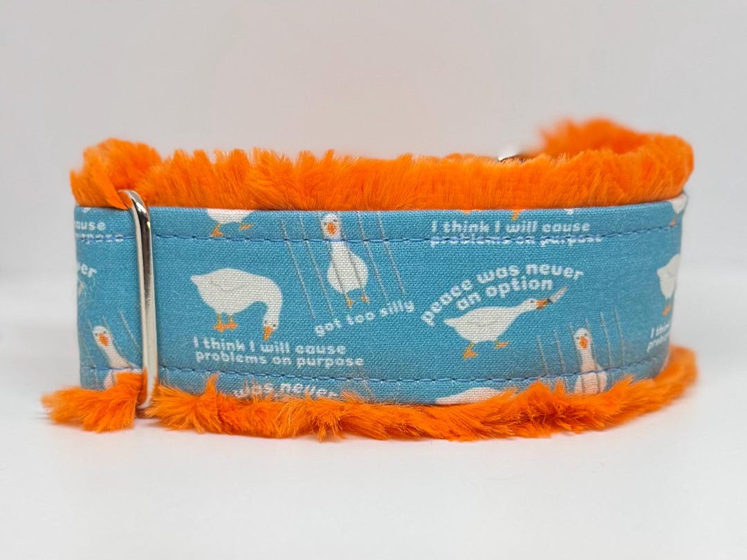 Silly Goose Dog Collar Teal (read Item Description and View Photos for ...