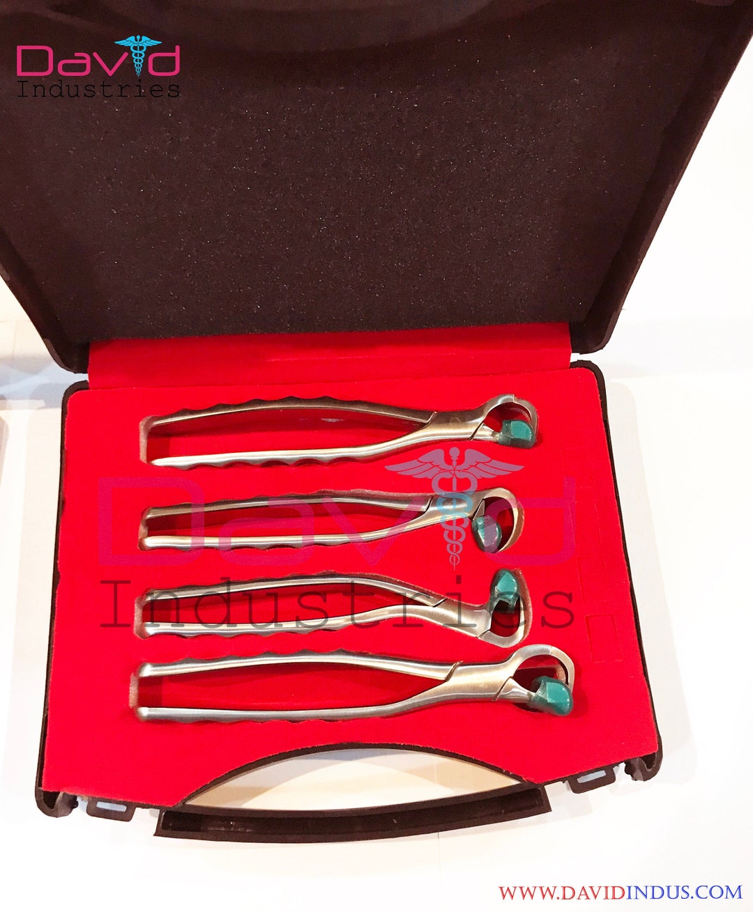 Dental Extraction Tooth Physics Forceps Standard Series Set of 4 With ...