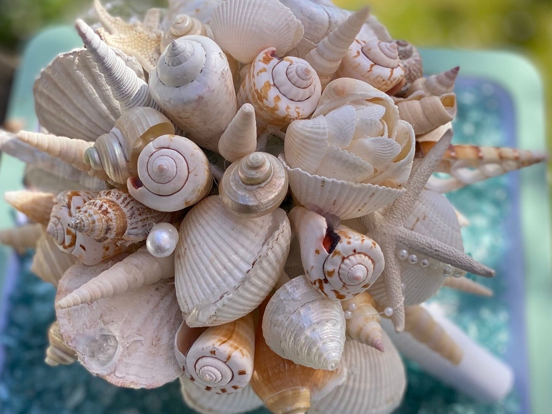 Natural Seashell Bridal Bouquet, Pearls and Gemstones Embellishments ...