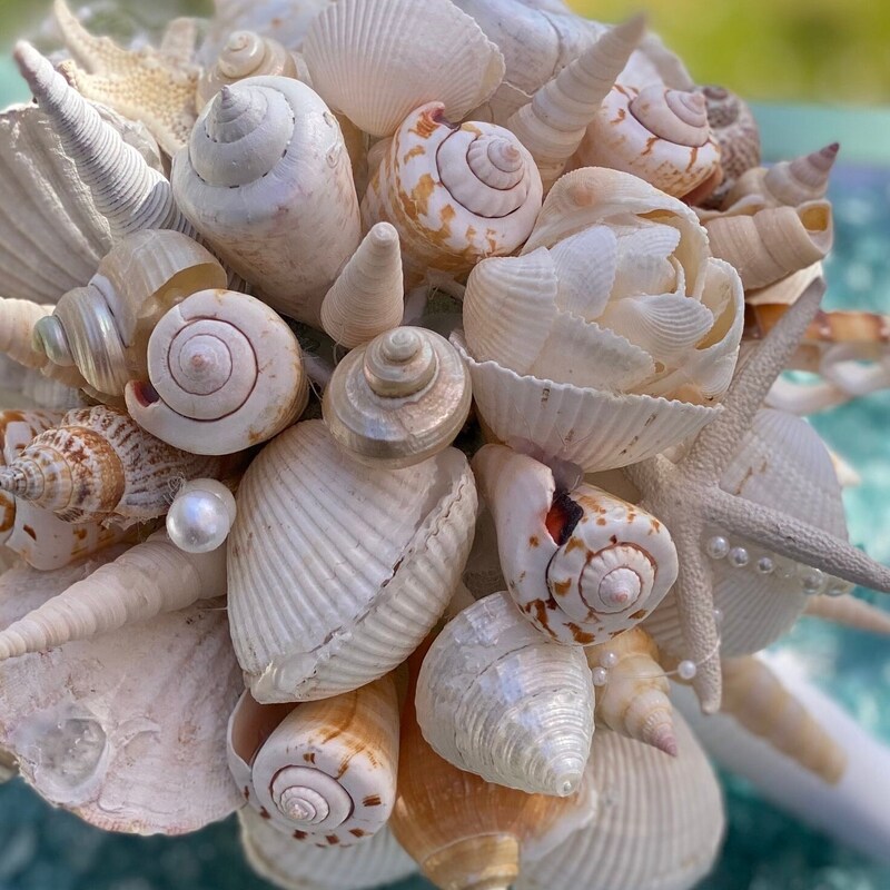 Sea Shell Bouquet - Etsy