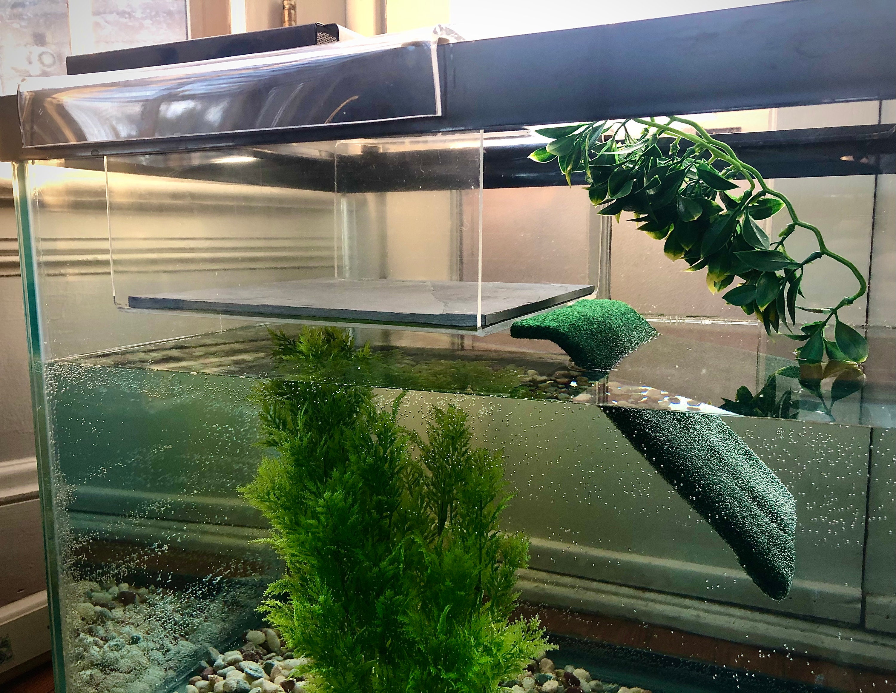 Fully Acrylic Large Turtle Tower Turtle Basking Dock Turtle Etsy Canada