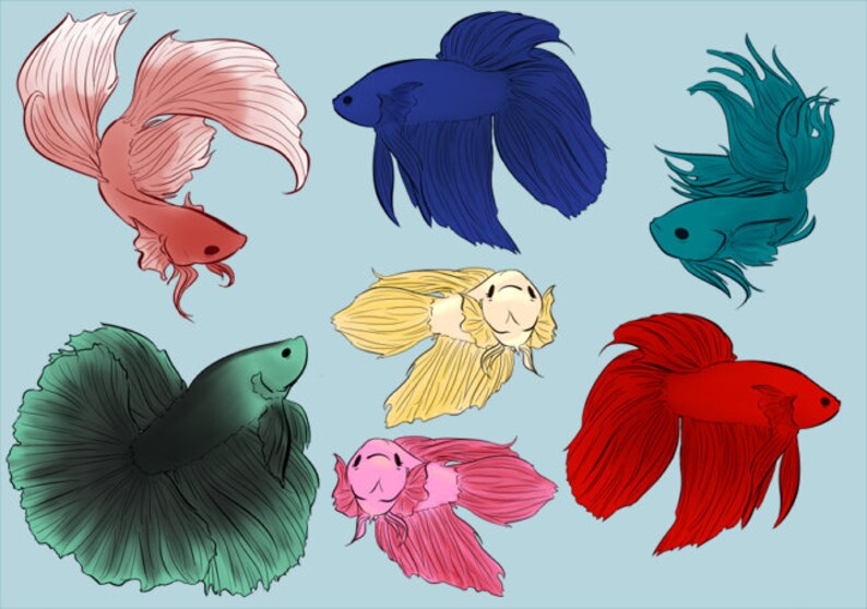 Waterproof Betta Fish Stickers - Etsy