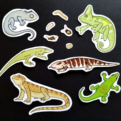 Crocodile/knobby Newt Stickers and Magnets | Etsy